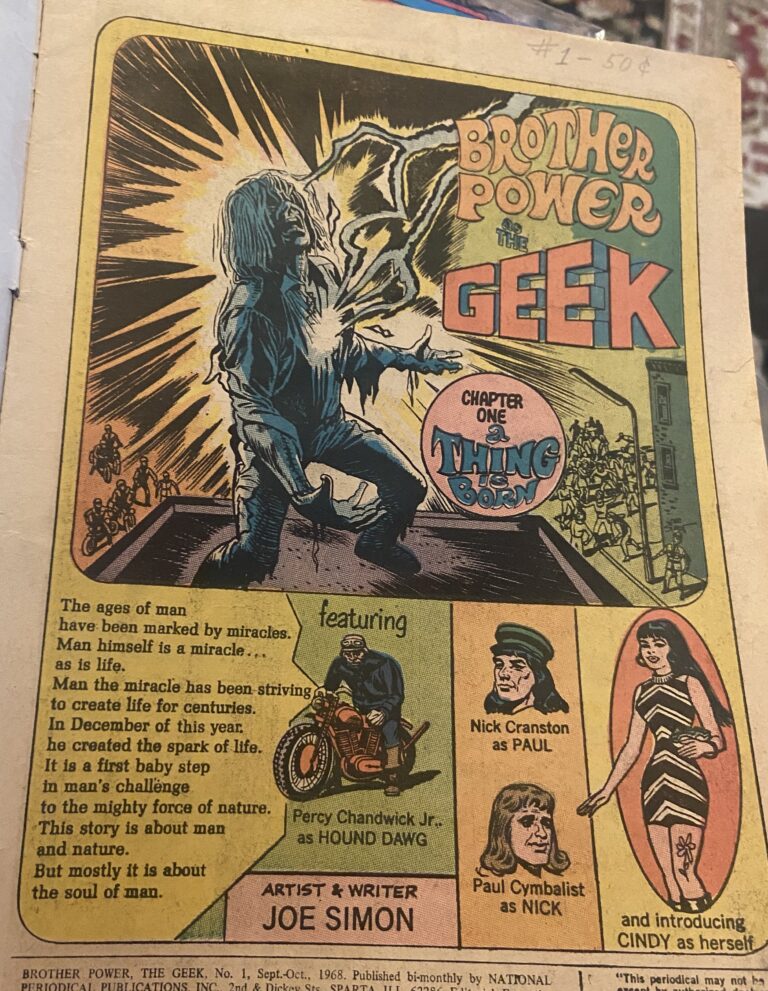 I thought Joe Simon's work on Prez was bizarre. Then I reread Brother ...